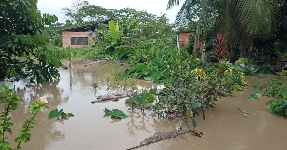 Inundaciones Villa Tunari: Río desborda y corta carretera principal